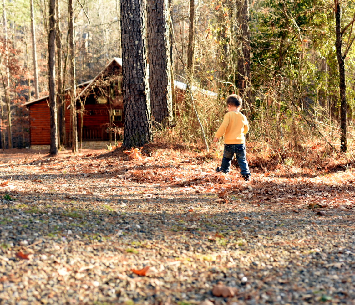 Welcome to Timber Bear Cabin – Timber Bear Cabin